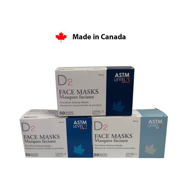 D2: Earloop Mask ASTM Without Nose piece 50/bx | Dens 'N Dente
