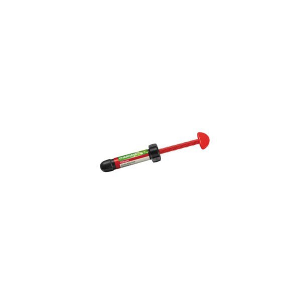 Heraeus Kulzer: Charisma Smile Syringe 4gm : Heraeus Kulzer: Charisma ...