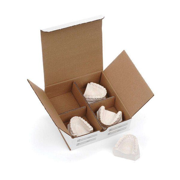 Keystone: Model Storage box 25/box | Dens 'N Dente